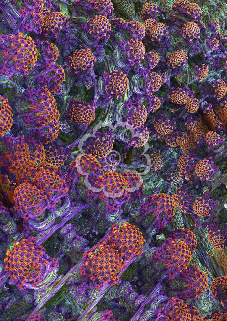 Fractal Bulb Scape - Tao UK